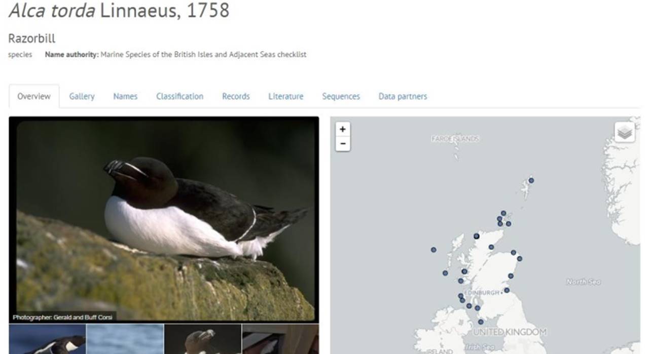 The National Biodiversity Network (NBN) Atlas of Living Scotland ...